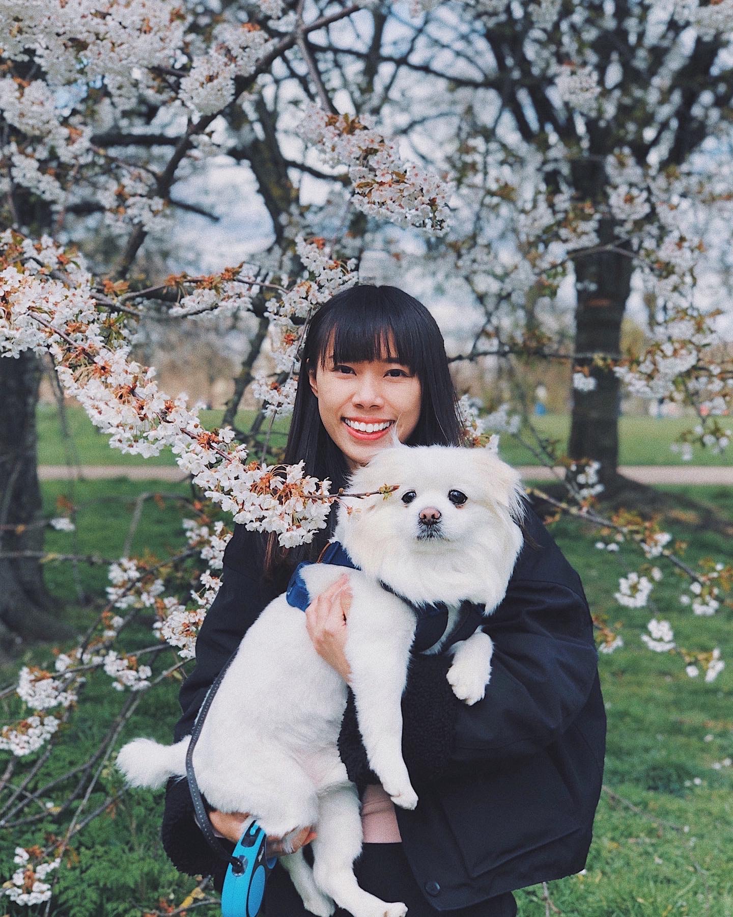 Sabrina Lam – Digital Marketer